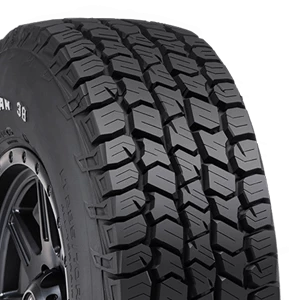 BFGoodrich ADVANTAGE CONTROL HT 255/70R17 112T – TCWcanada